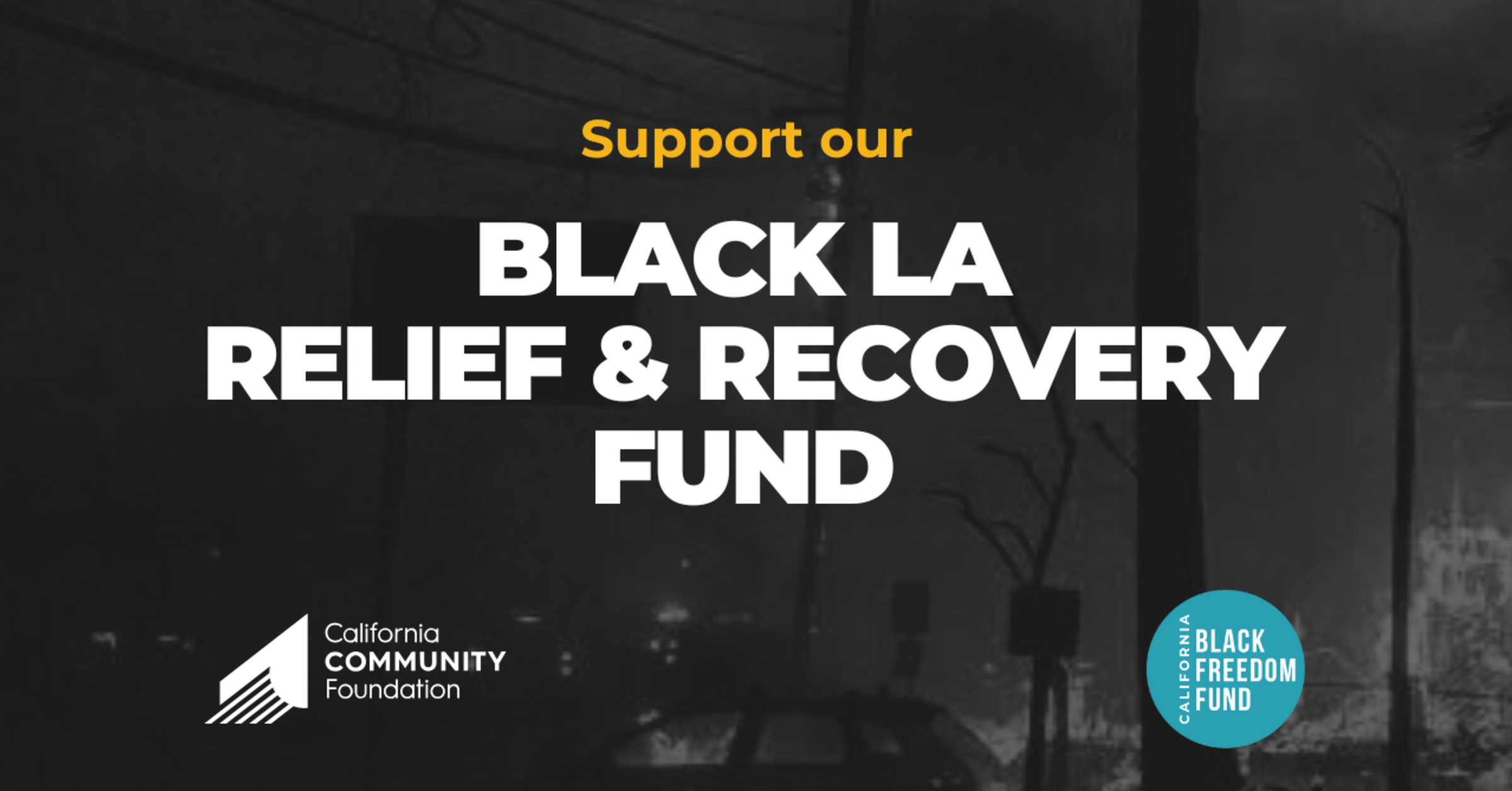 California Black Freedom Fund's - Black LA Relief & Recovery Fund - Pledge